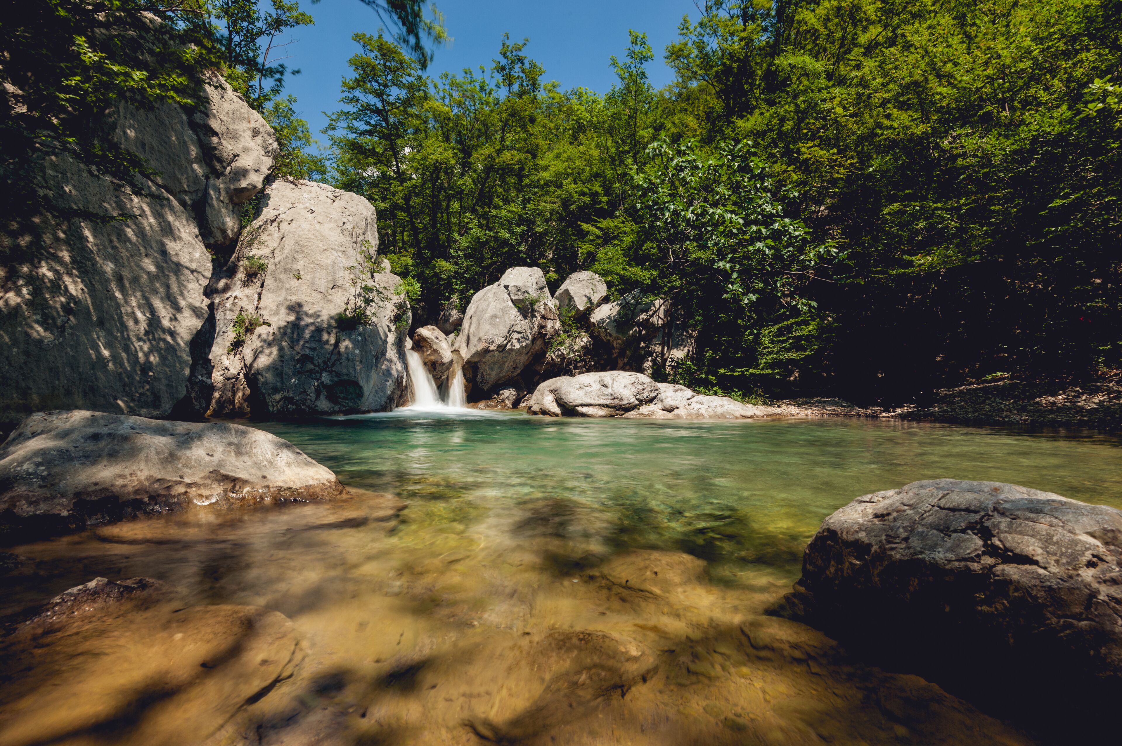 Paisagem natural com um riacho de águas cristalinas, pedras e vegetação densa.