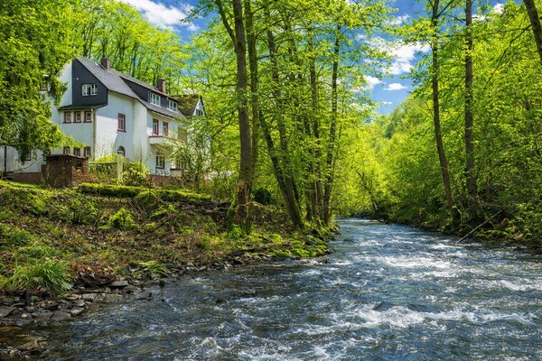 Wald Villa ÜSsbach - Ediger-Eller