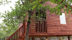 Uma casa na árvore de madeira com escada e janela de madeira.