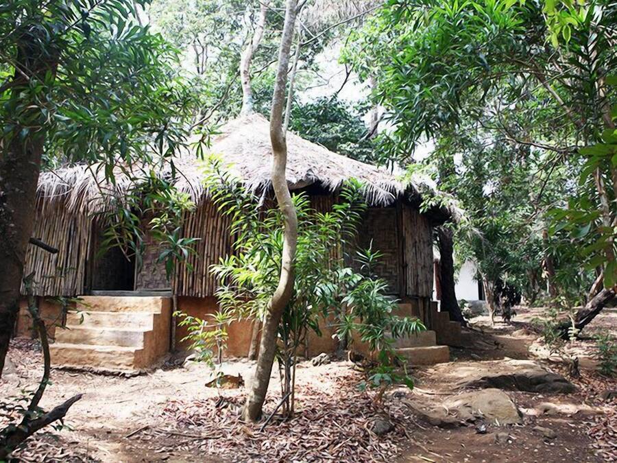 Uma cabana rústica com telhado de palha, rodeada por folhagem densa e chão de terra.