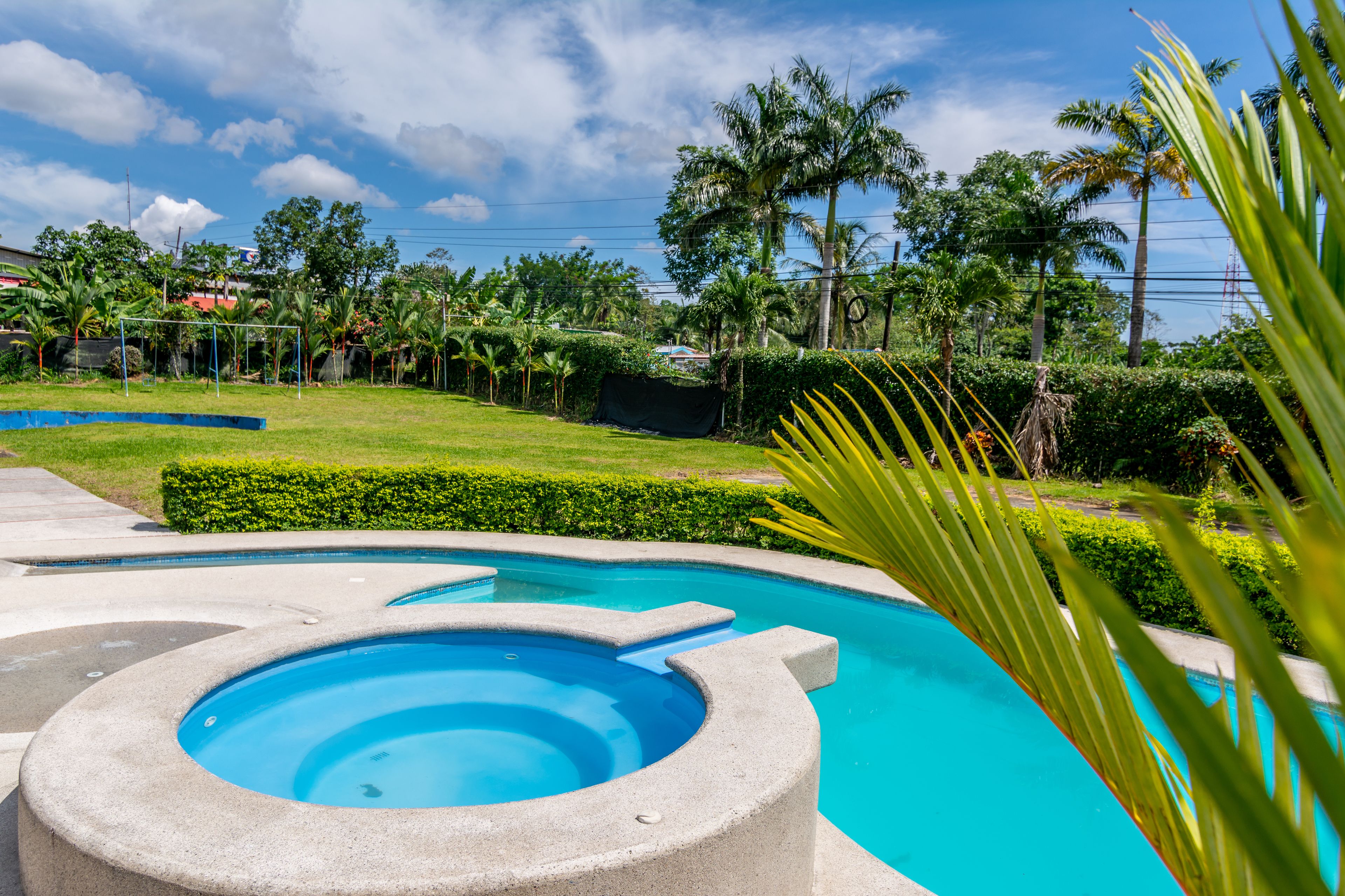 Uma piscina com design circular, rodeada por um gramado bem cuidado e palmeiras.