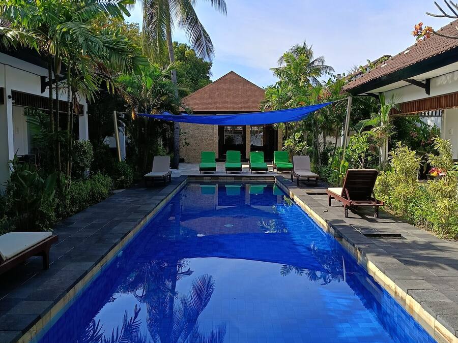 Uma piscina retangular com água azul cristalina, rodeada por espreguiçadeiras e palmeiras.