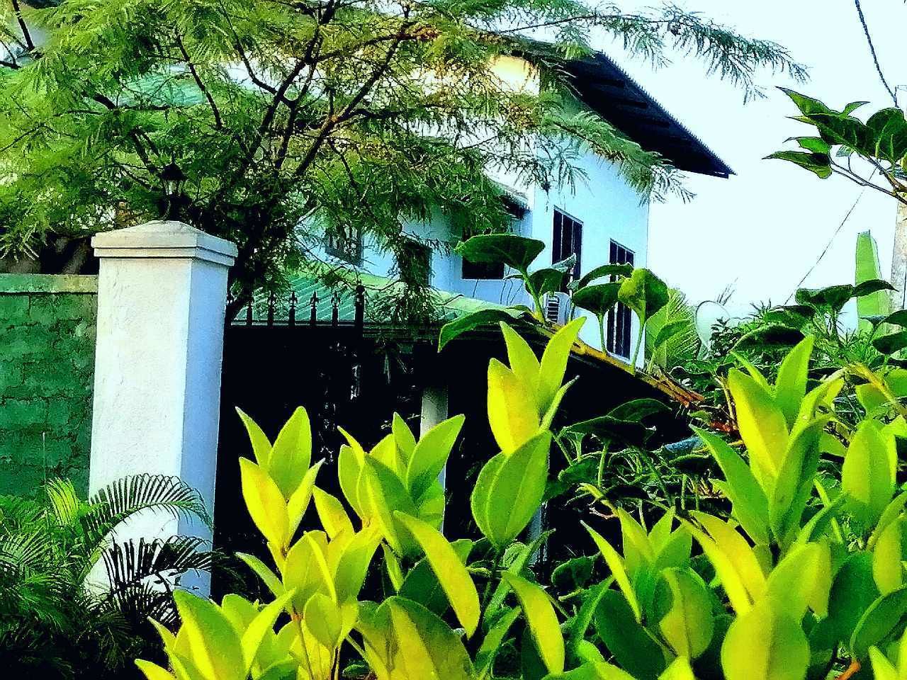 Um edifício com fachada branca e telhado escuro, rodeado por vegetação exuberante.