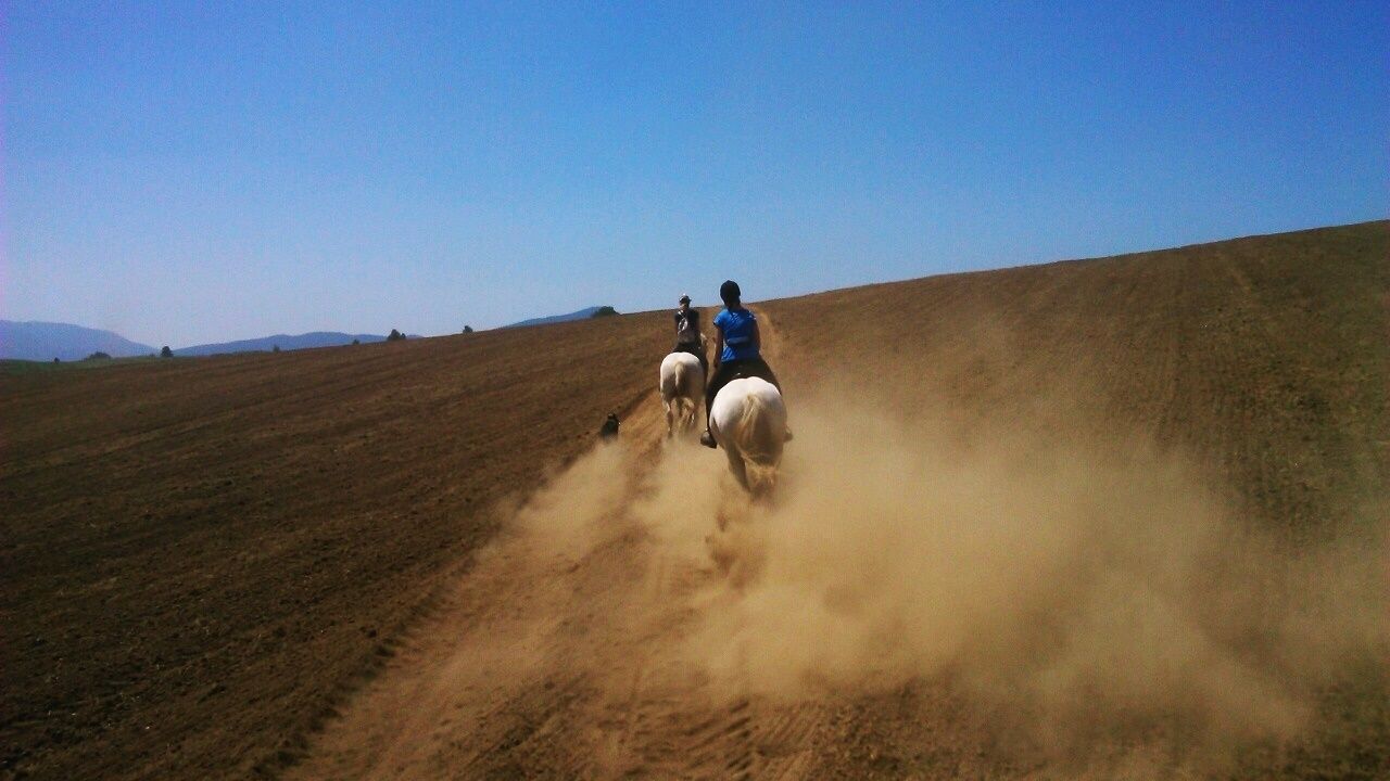 Do cavaleiros a cavalgar por um trilho de terra sob um céu limpo.