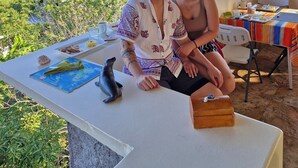 Terraço com mesa posta para dois, com vista para a costa.