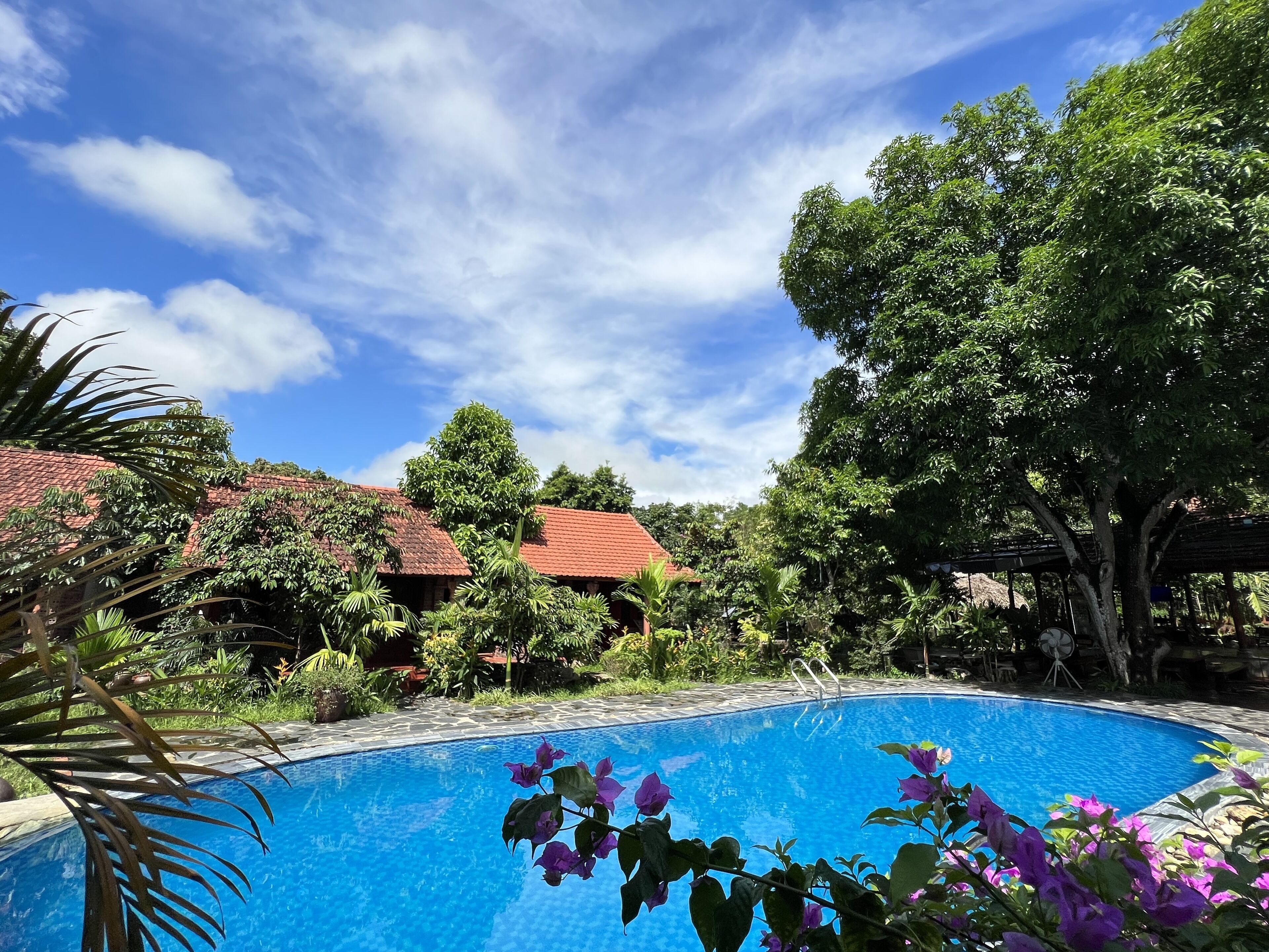 Piscina externa, piscina natural, espreguiçadeiras