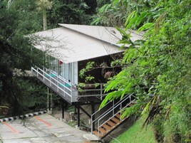 Terraço/pátio interior