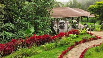 Jardim