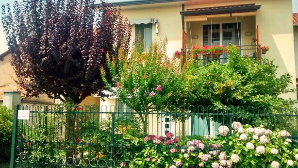 Edifício residencial com jardim na frente, com diversas plantas e flores.