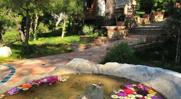 Vista da propriedade