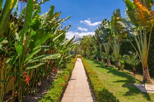 Jardim