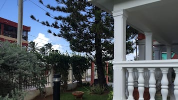Jardim