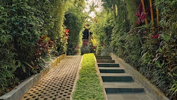 Vista para o jardim