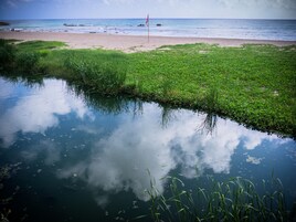 Água calma refletindo o céu e o verde ao redor.