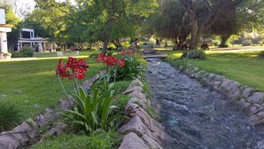 Um jardim com um pequeno riacho, flores vermelhas e um edifício ao fundo.