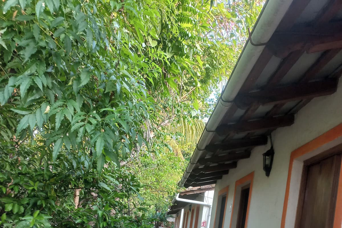 Um caminho de pedra ladeado por vegetação exuberante e uma fileira de edifícios com detalhes em laranja e portas de madeira.