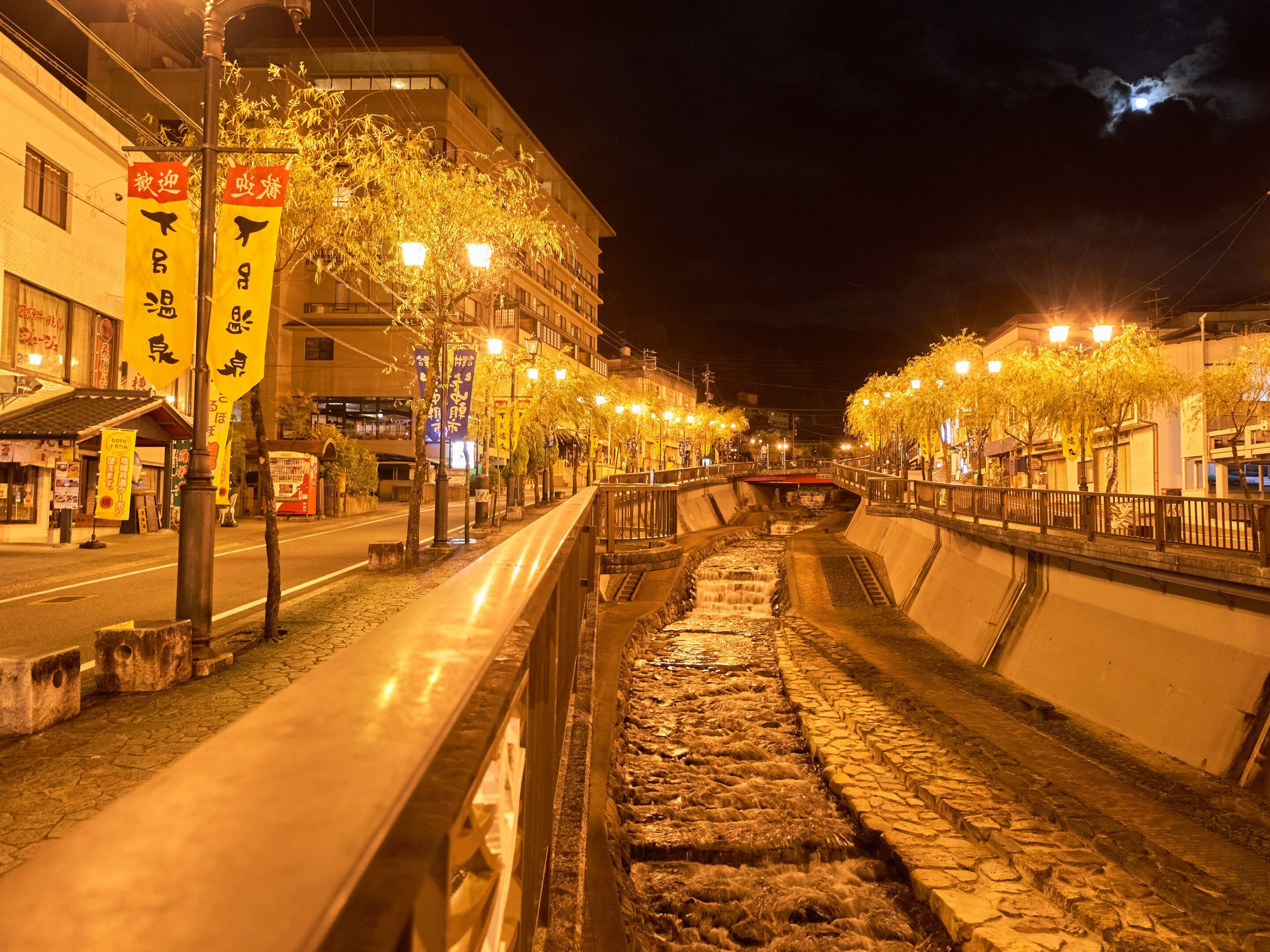 Cena noturna de uma rua com um canal, edifícios e árvores iluminadas.