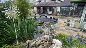 Um jardim com lago, plantas em vasos e mobiliário de exterior.
