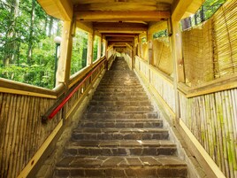 Comodidades da propriedade