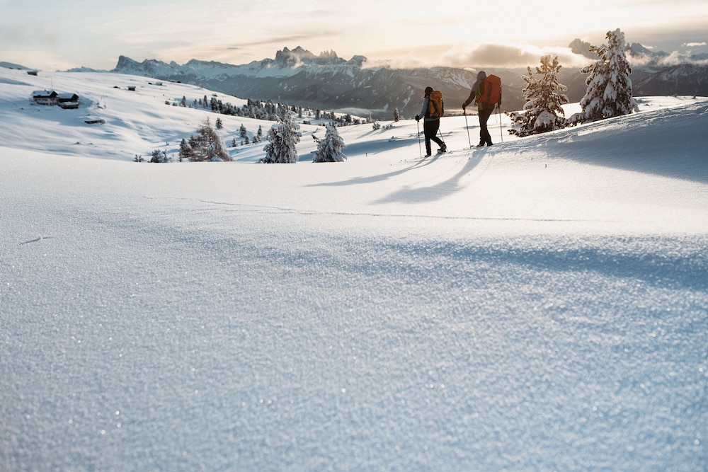 Sonnenhotel Adler - Alpe di Siusi