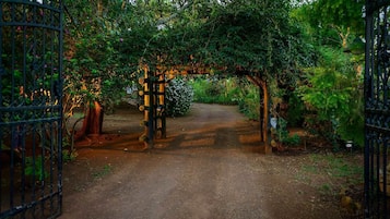 Pátio interior
