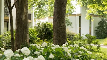 Jardim