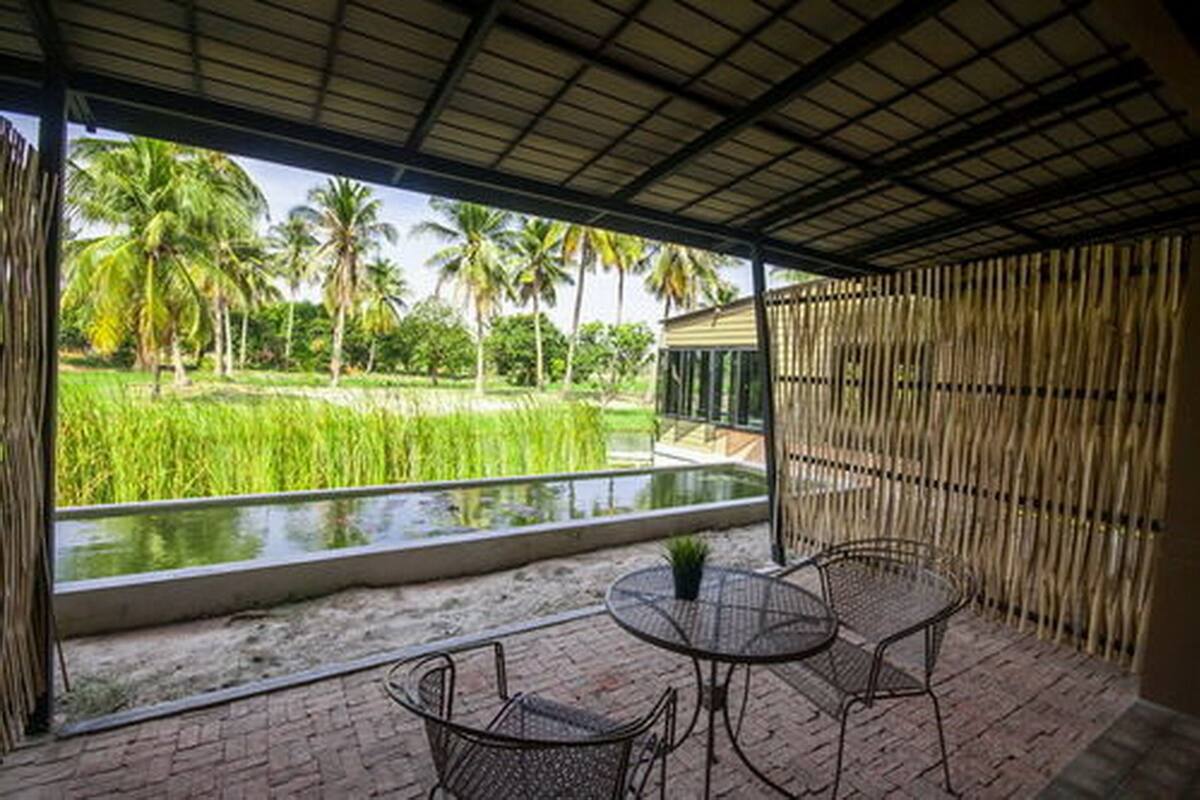 Área externa coberta com vista para um campo de arroz e palmeiras, com duas cadeiras de metal e uma mesa pequena.