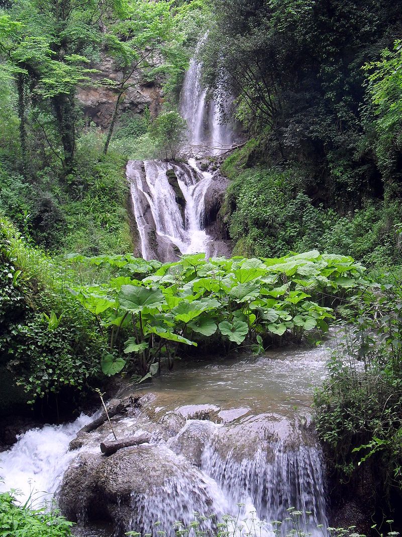 Uma cascata desce sobre rochas em uma floresta verde e exuberante.