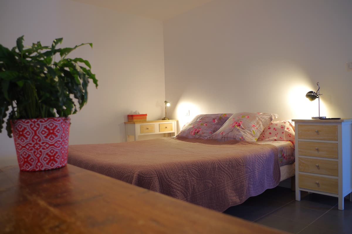 Quarto com cama, mesas de cabeceira, abajur e um vaso de planta.