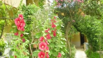 Jardim