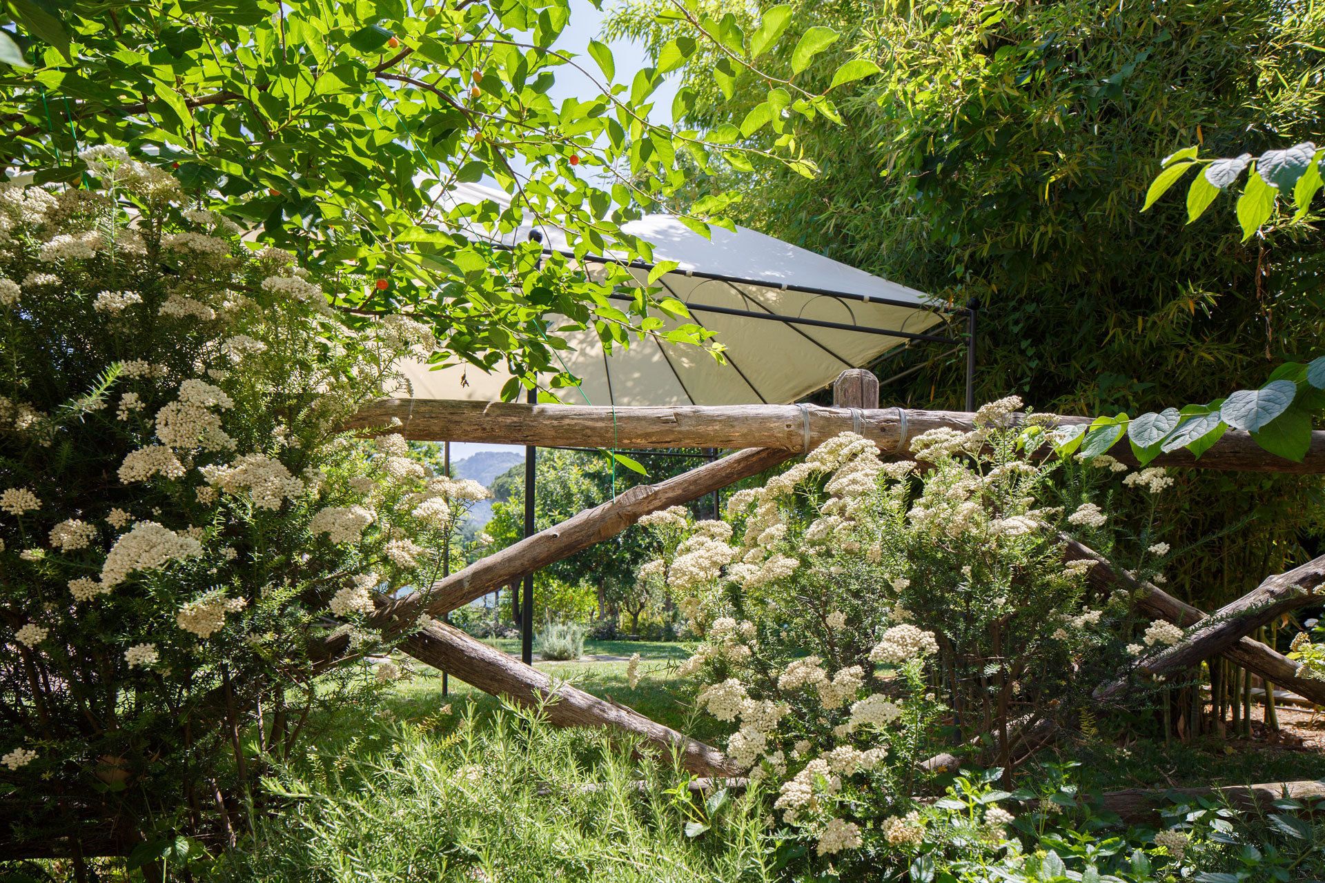 Um jardim com pérgola de madeira, vegetação exuberante e plantas brancas com flores.