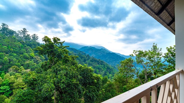 Uma varanda com vista para uma floresta verdejante e montanhas.