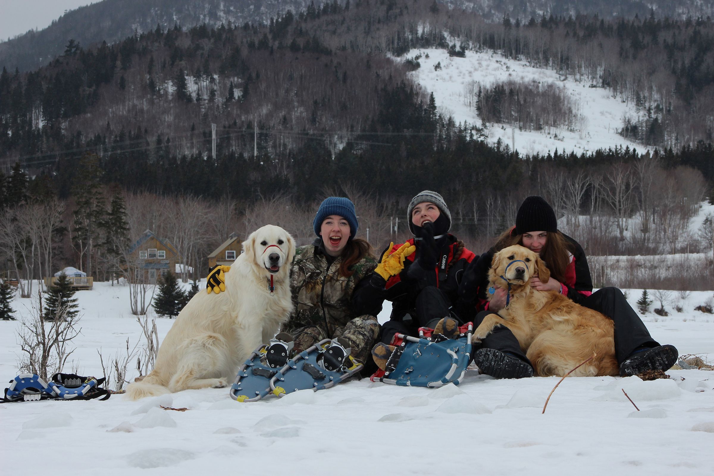 Um grupo de pessoas e cães em um cenário nevado ao ar livre, com trenós.