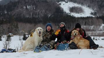 Um grupo de pessoas e cães em um cenário nevado ao ar livre, com trenós.