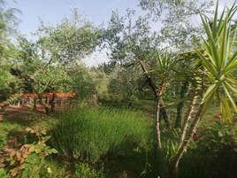 Área para churrasco/piquenique