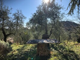 Área da propriedade