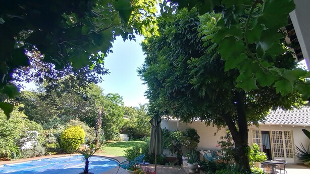 Piscina rodeada por plantas em vasos e um espaço de pátio com mobiliário para área externa.