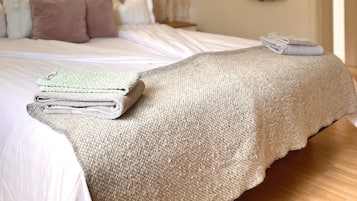 Quarto Duplo | 1 quarto, minibar, secretária, ferro/tábua de engomar