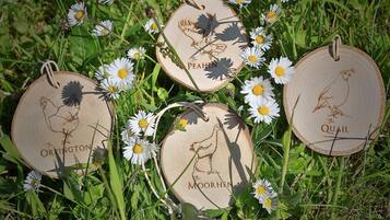 Terrenos do alojamento