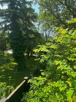 Um jardim exuberante com diversas árvores e arbustos, cerca de madeira e um caminho de pedra.