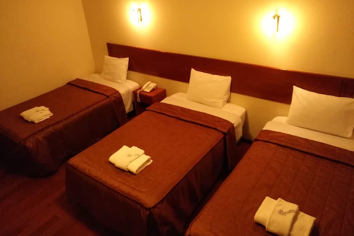 Quarto Triplo, 3 camas individuais | Minibar, cofre no quarto, secretária, camas desdobráveis 