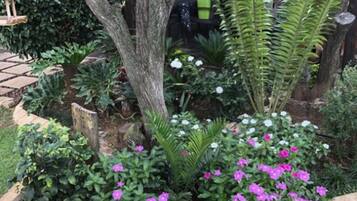 Jardim