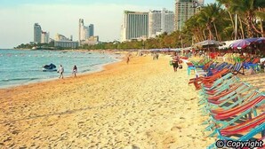 Uma praia com fileiras de cadeiras de praia coloridas, palmeiras e um horizonte urbano ao fundo.