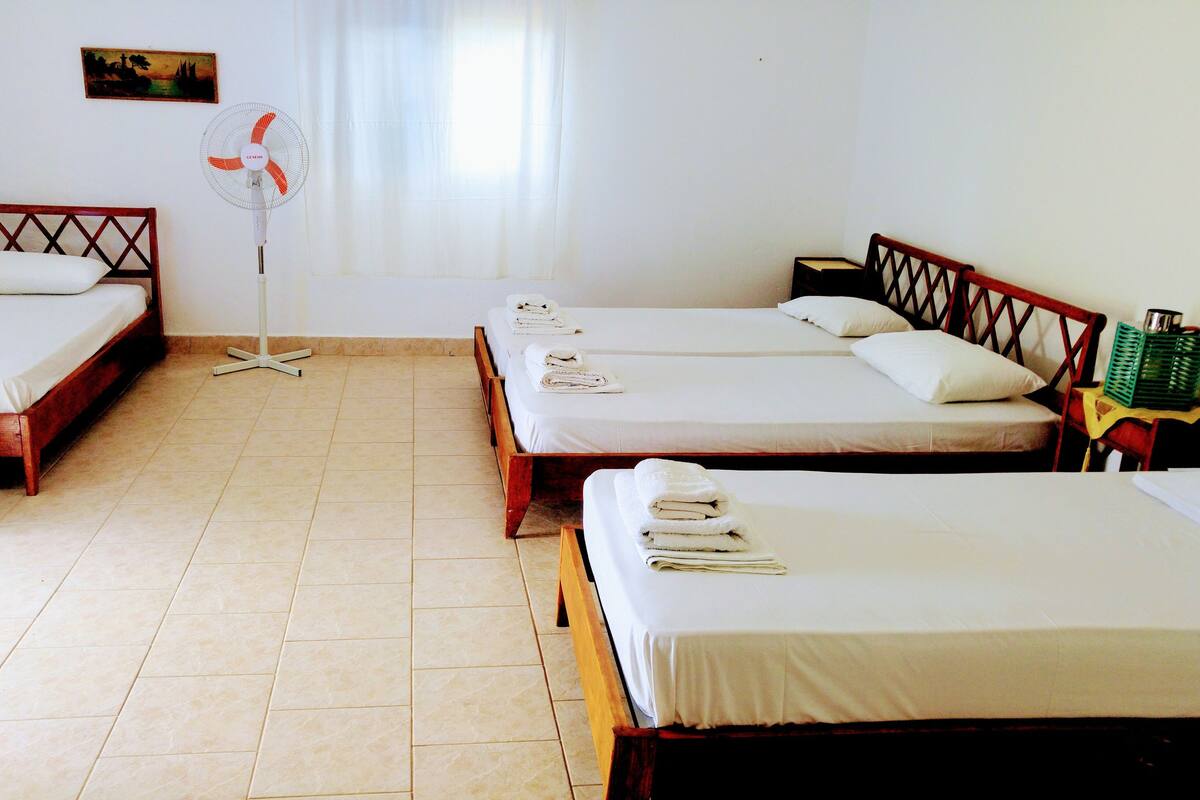 Quarto de hotel com três camas de solteiro, um ventilador e uma mesa pequena com uma cesta verde.
