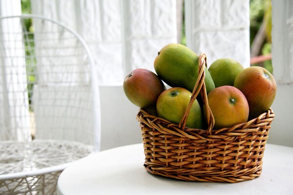 Millsborough Guest Apartments - Kingston, Jamaica