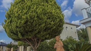 Área da propriedade