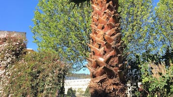 Quarto Individual | Vista para o jardim