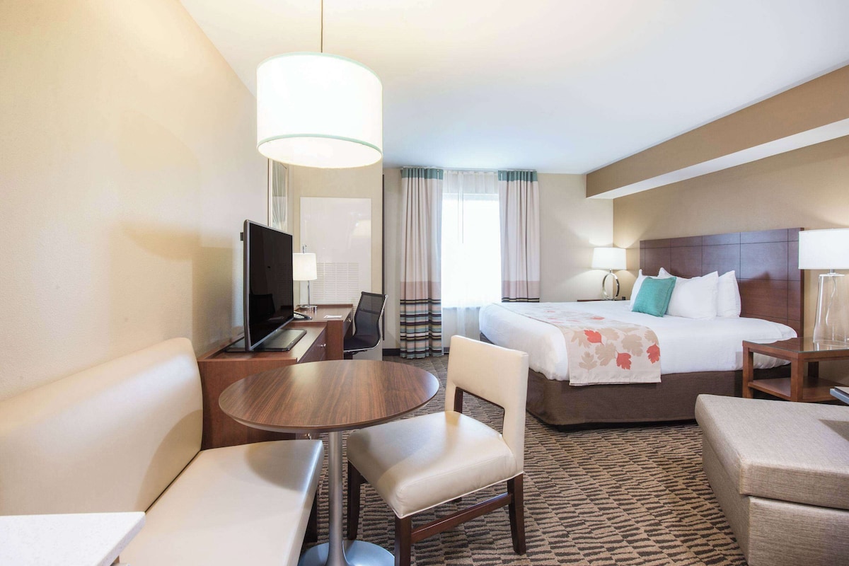 Quarto de hotel com cama, escrivaninha com computador, cadeira, sofá e luminária.