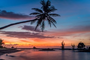 Um pôr do sol sobre águas calmas, com uma silhueta de palmeira no céu.