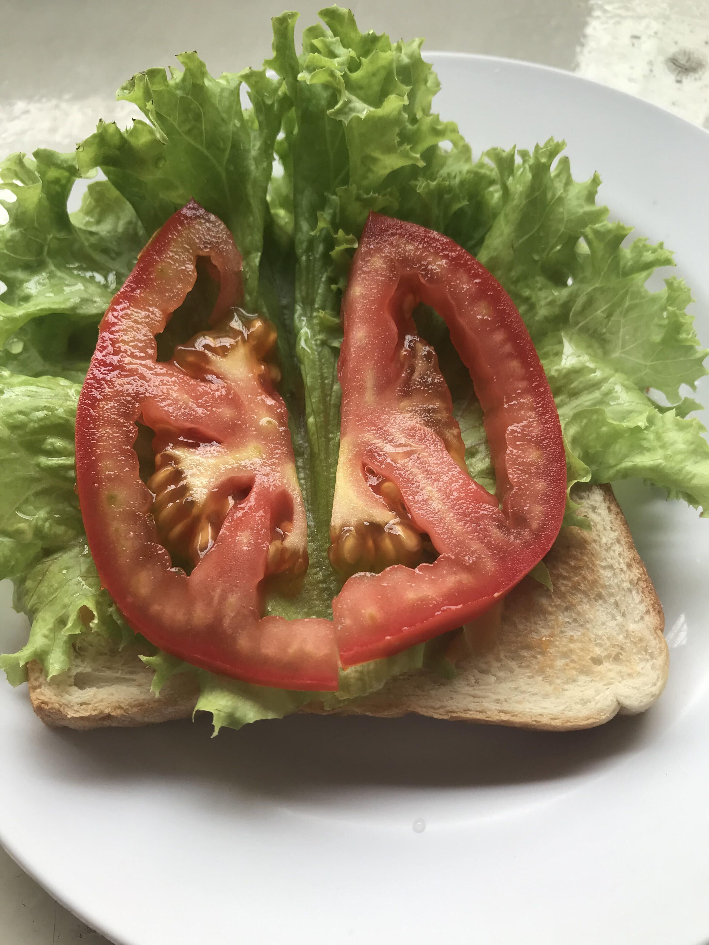 Um prato com sanduíche sobre folhas de alface, incluindo uma fatia de tomate e um pedaço de pão.
